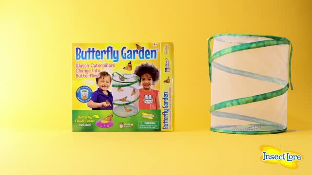 Insect Lore Butterfly Garden Watch Metamorphosis In Action With The