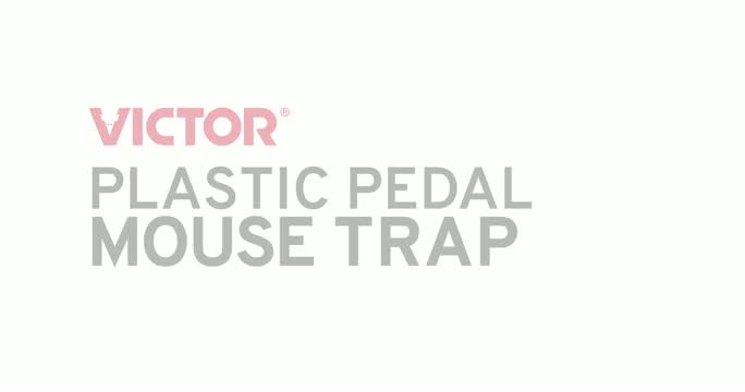 Victor Mouse Logo